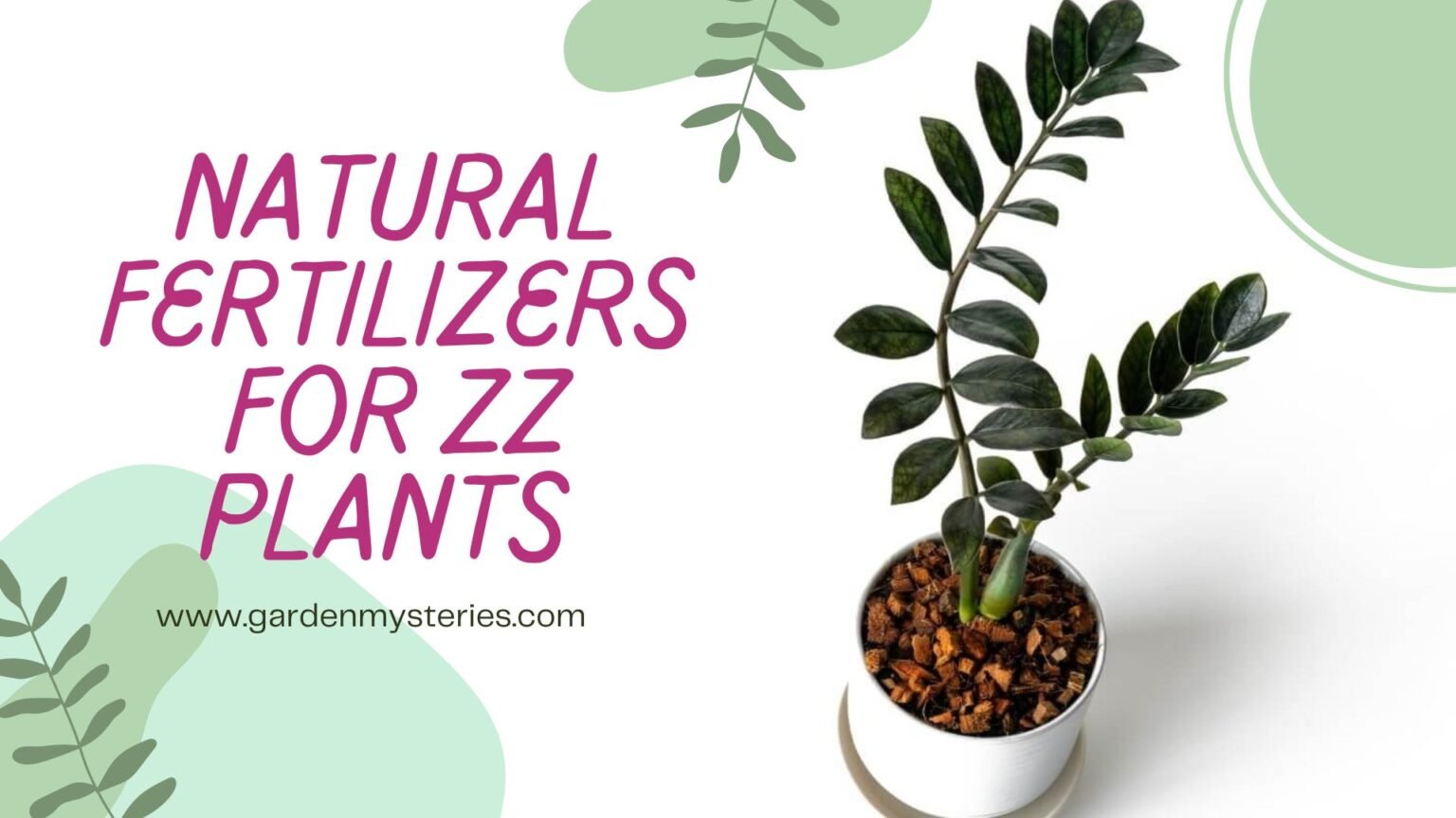 Natural Fertilizers for ZZ Plants That Actually Work - Garden Mysteries