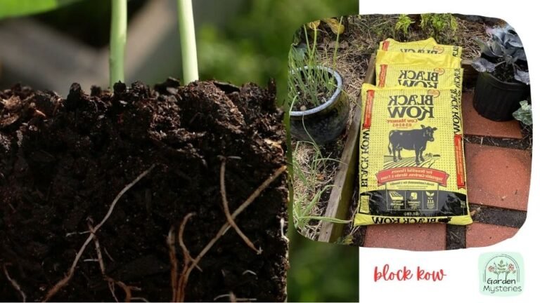 Black Kow Disadvantages: Things You Should Learn - Garden Mysteries