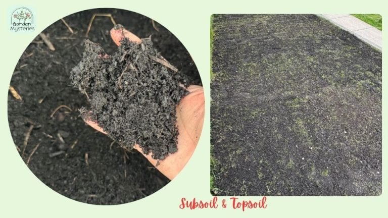 Subsoil vs Topsoil: A Brief Comparison from gardenmysteries - Garden ...
